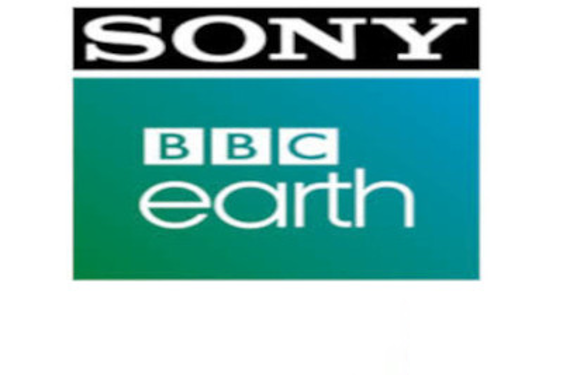 Ulka TV Packs, Channels and Bouquets - Watch LIVE TV with 800+ Channels